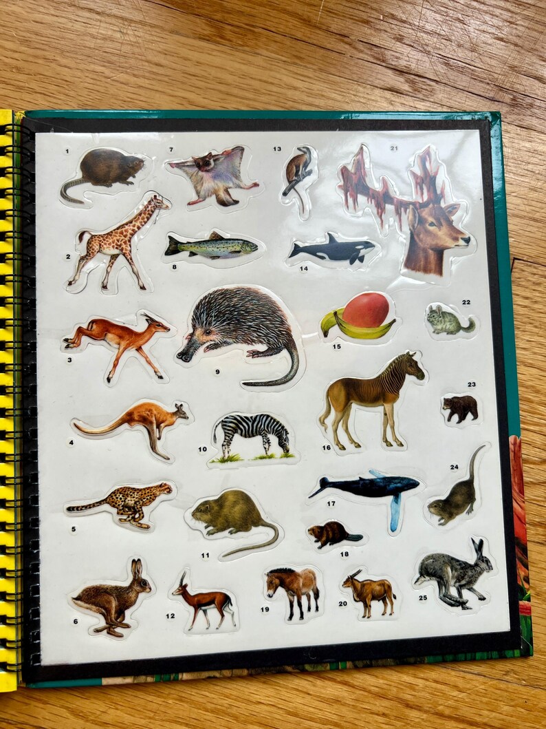 Mammals / Vintage 1990s Children's Science Book / A Voyages of ...