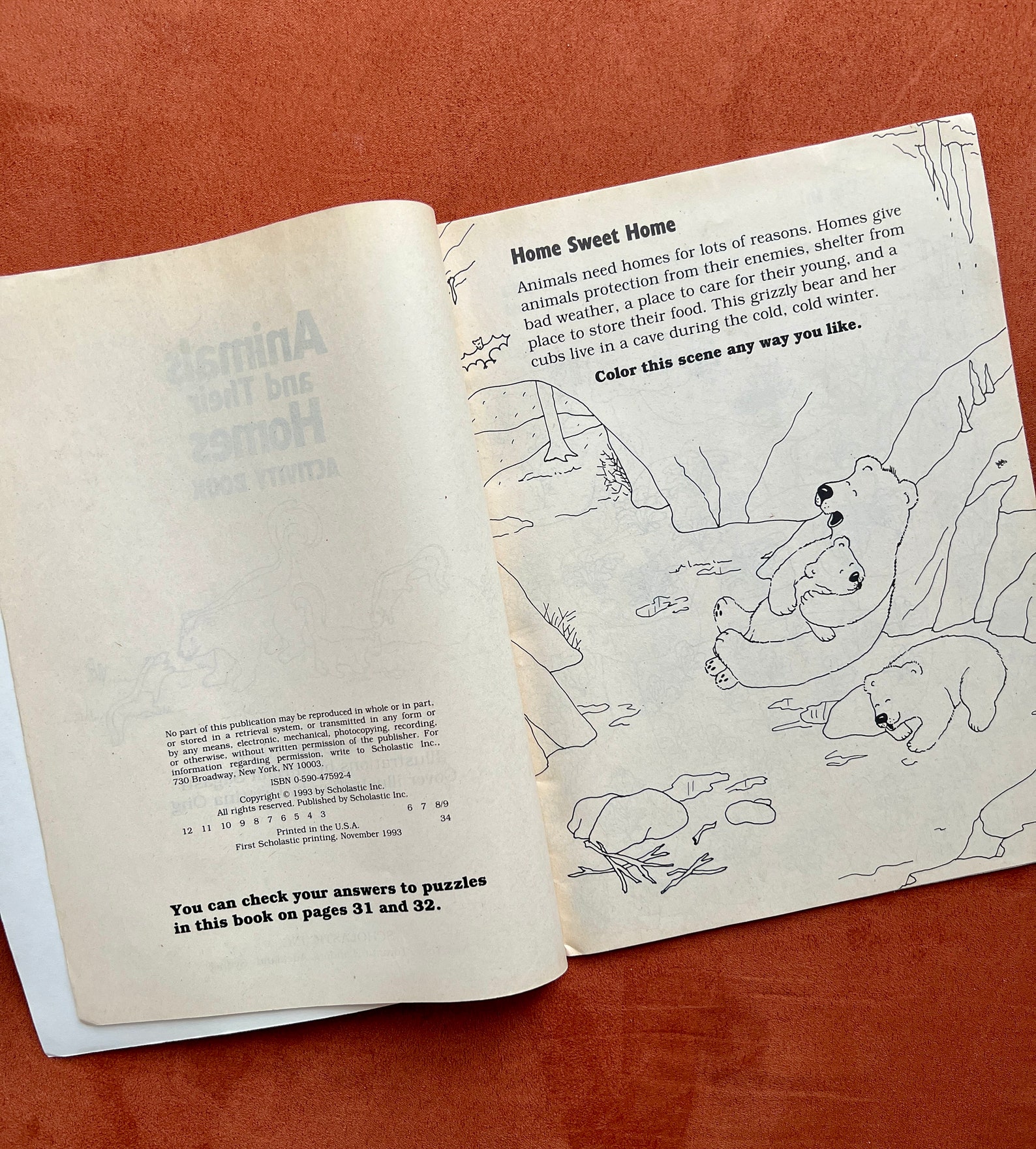 Animals and Their Homes Vintage 1990s Unused Nature Activity Book - Etsy