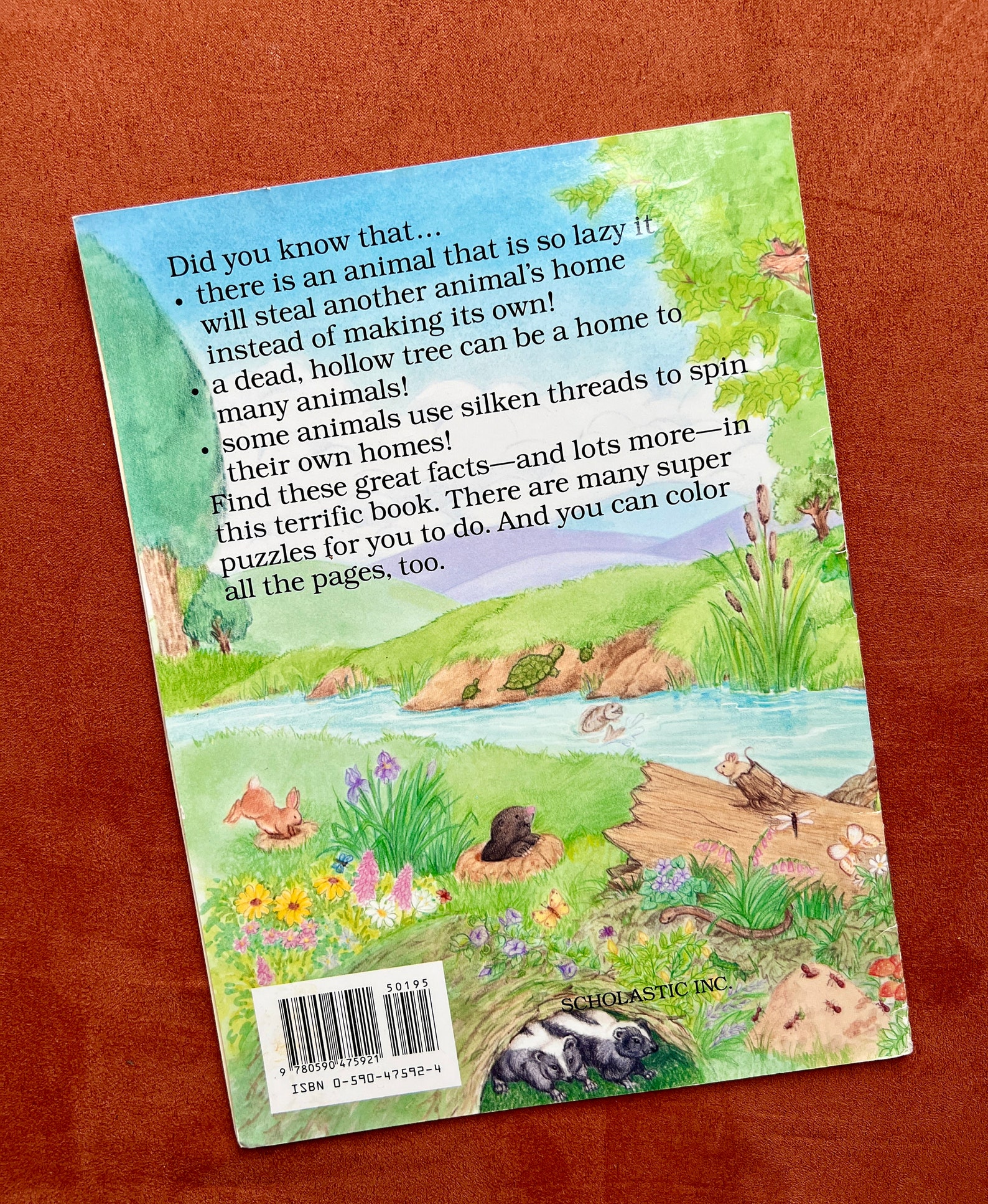 Animals and Their Homes Vintage 1990s Unused Nature Activity Book - Etsy