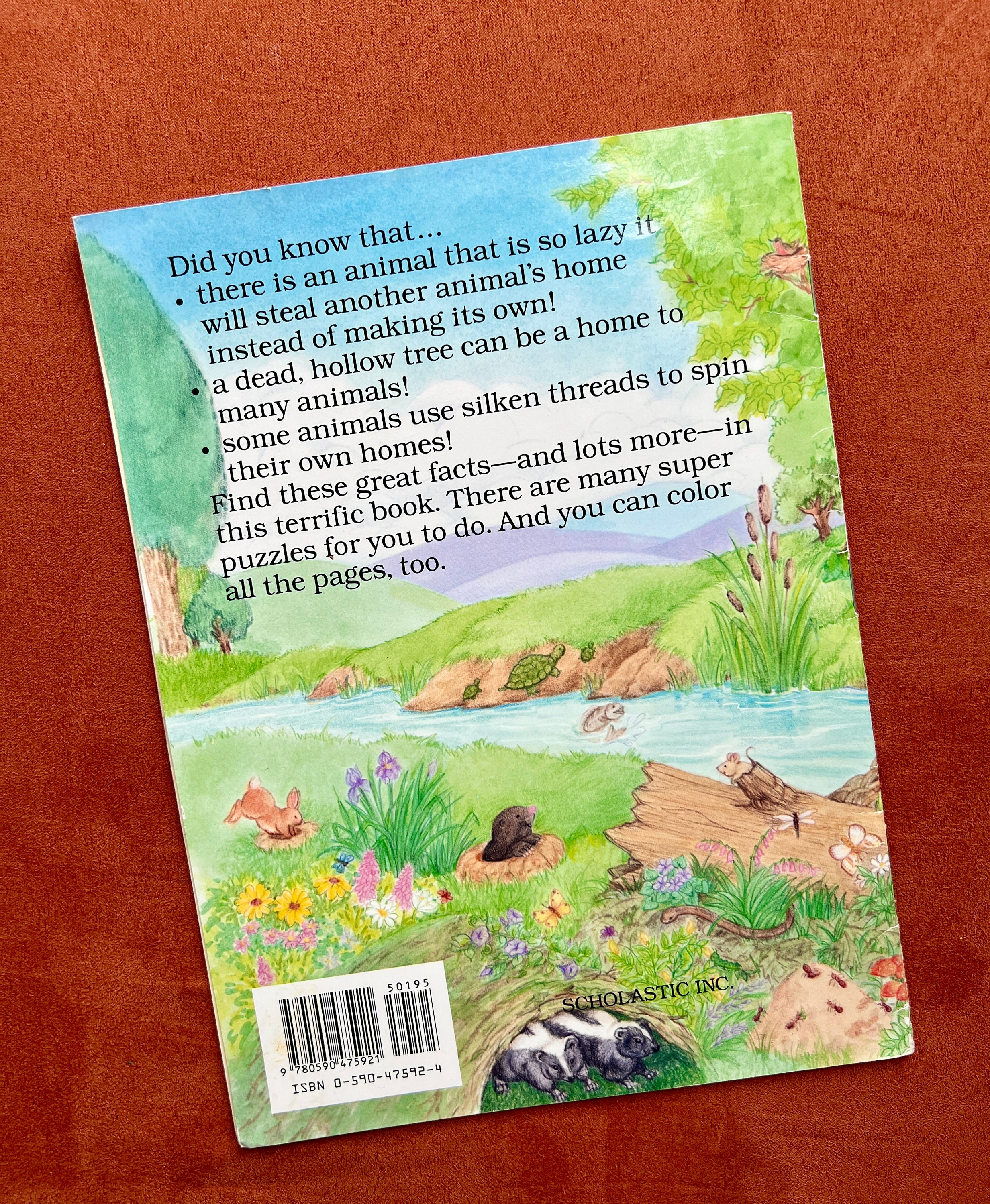 Animals and Their Homes Vintage 1990s Unused Nature Activity Book - Etsy