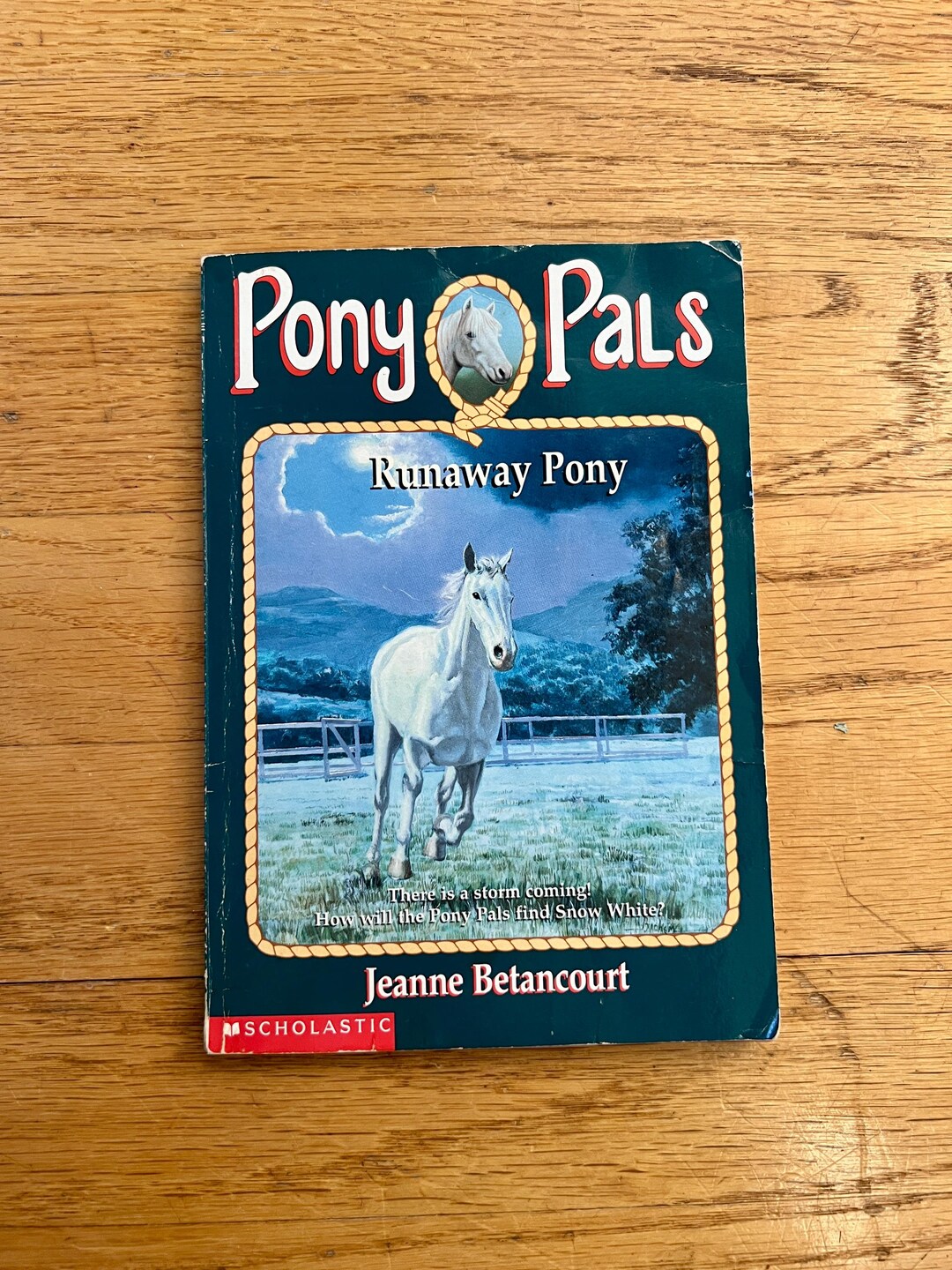 Pony Pals 7 Runaway Pony Vintage 90s Early Reader Chapter Book for Kids ...