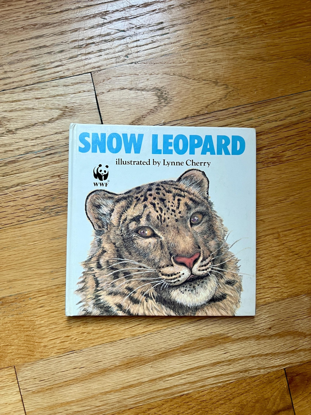Snow Leopard Vintage 1980's Children's Preschool WWF Mini Animal ...