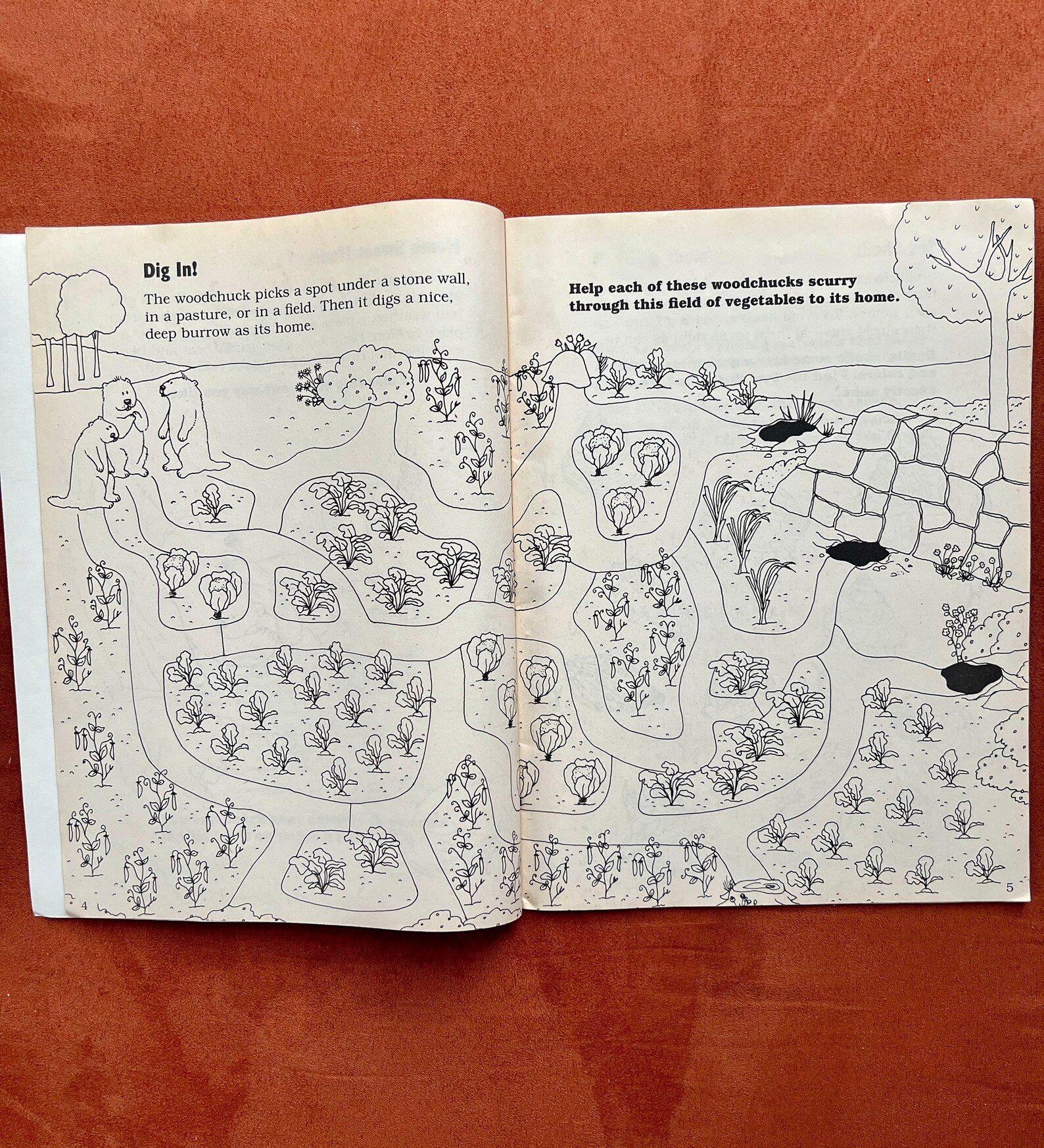 Animals and Their Homes Vintage 1990s Unused Nature Activity Book - Etsy