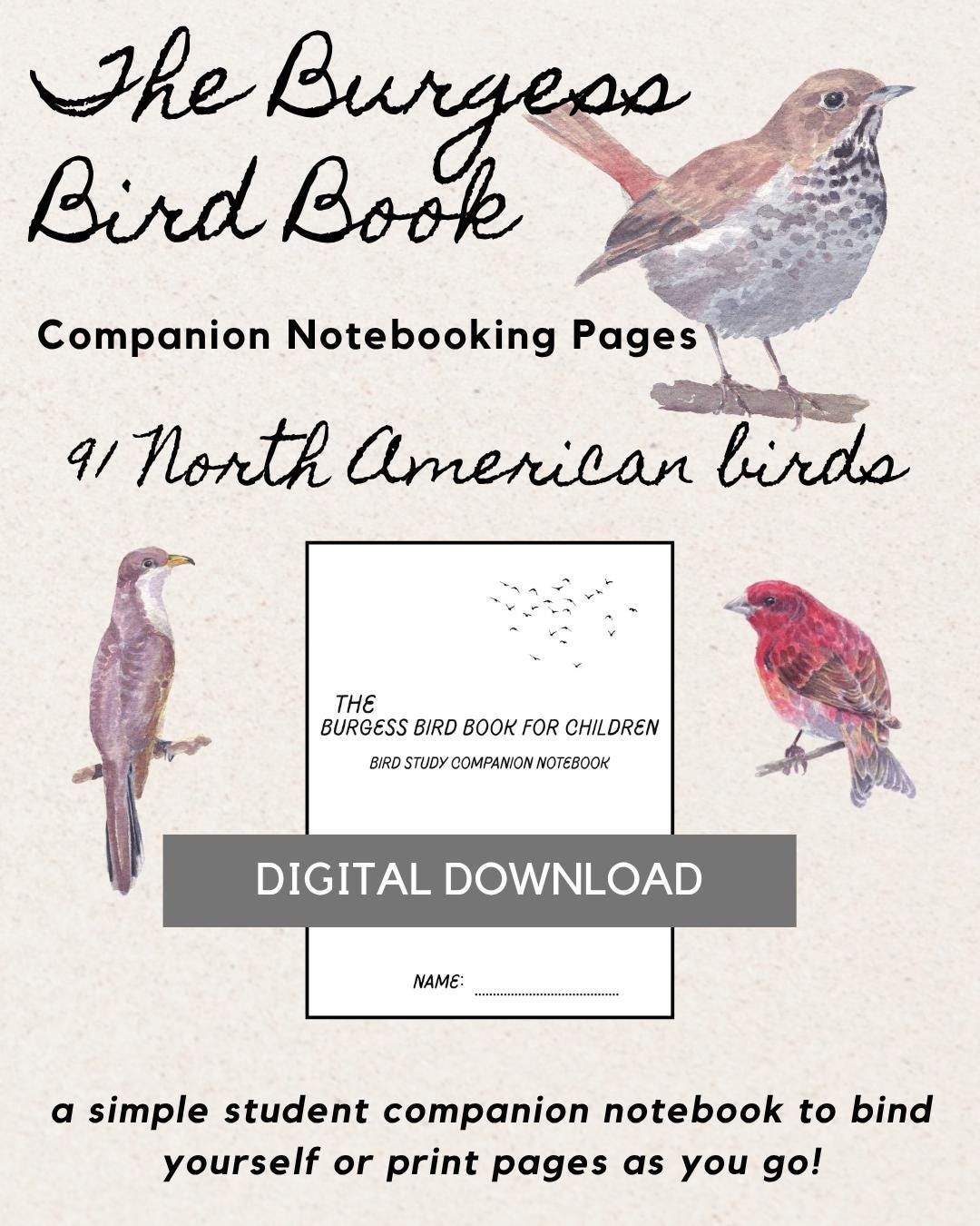 The Burgess Bird Book Companion Notebook Pages for Homeschool Nature ...