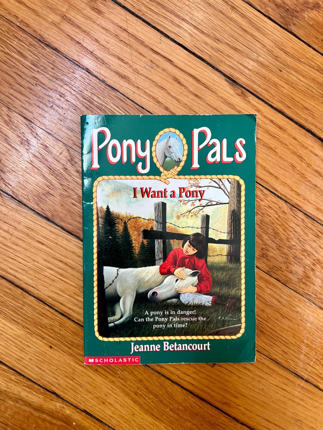 Pony Pals 1 I Want A Pony Vintage 90s Early Reader Chapter Book for ...