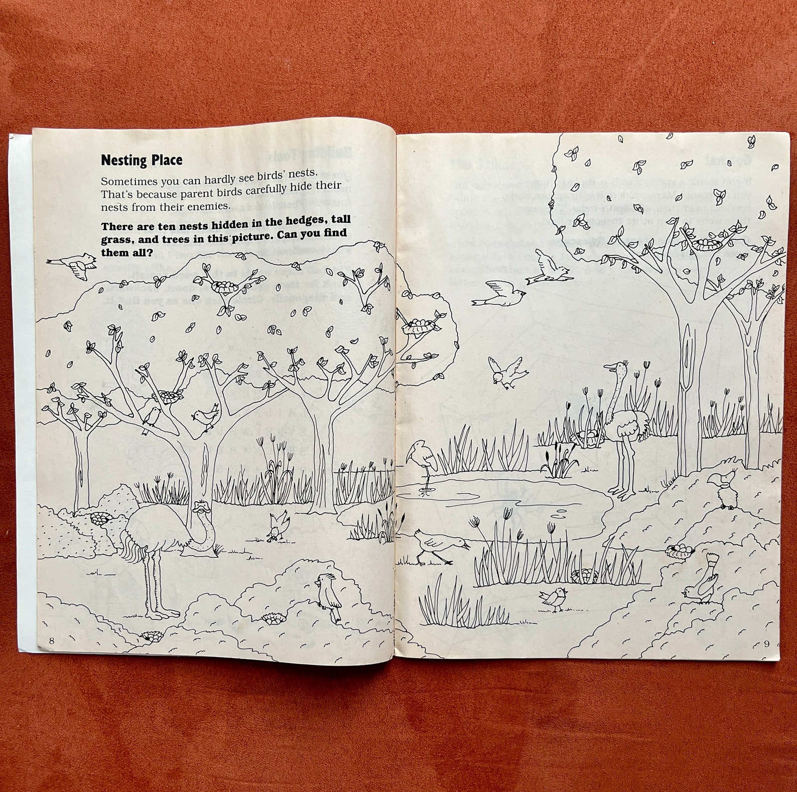 Animals and Their Homes Vintage 1990s Unused Nature Activity Book - Etsy