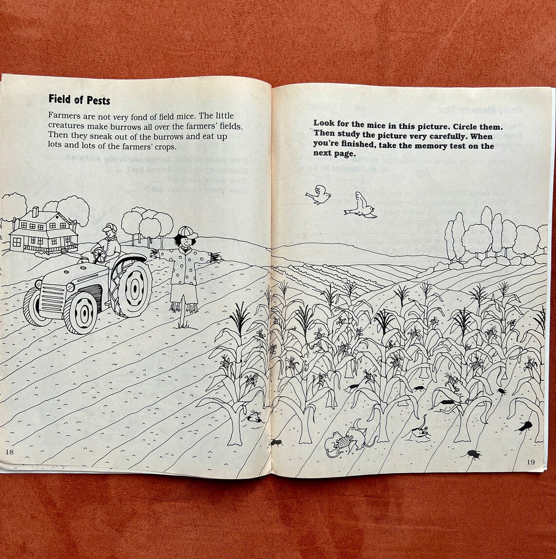 Animals and Their Homes Vintage 1990s Unused Nature Activity Book - Etsy