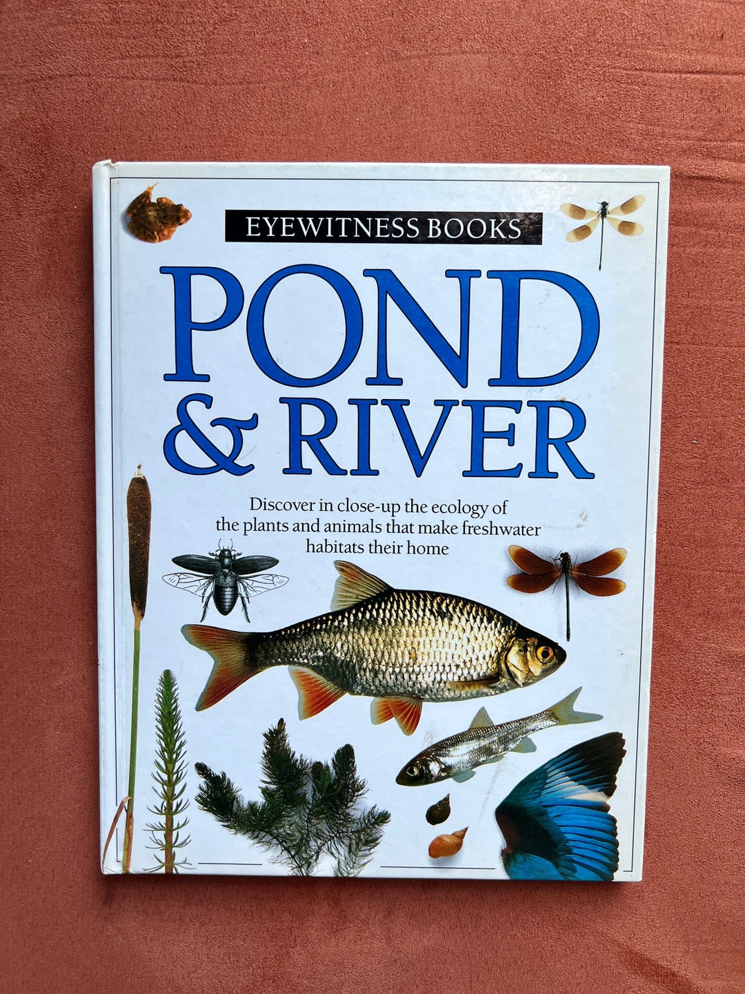 Pond & River Vintage Eyewitness Books Children's Nature Science ...