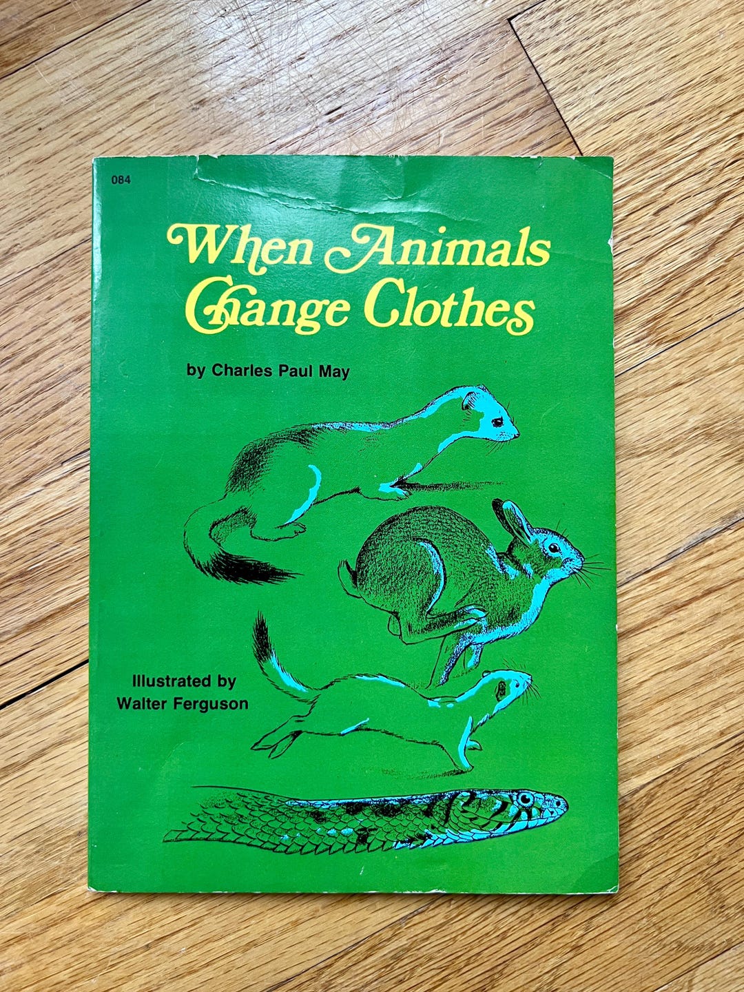 When Animals Change Clothes 1970s Vintage Children's Nature Science ...