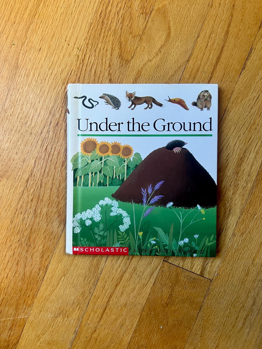 Under the Ground: Vintage 90s Children's Science Book; A First ...