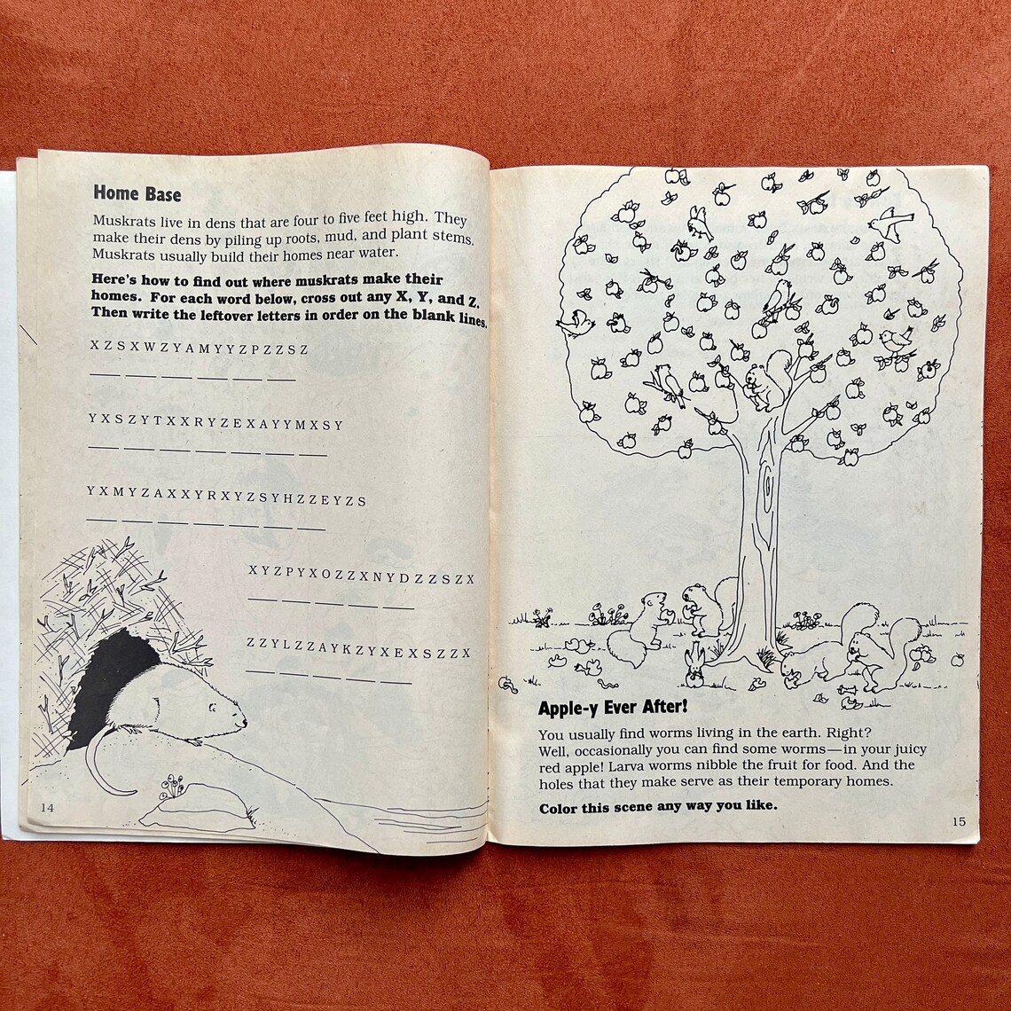 Animals and Their Homes Vintage 1990s Unused Nature Activity Book - Etsy