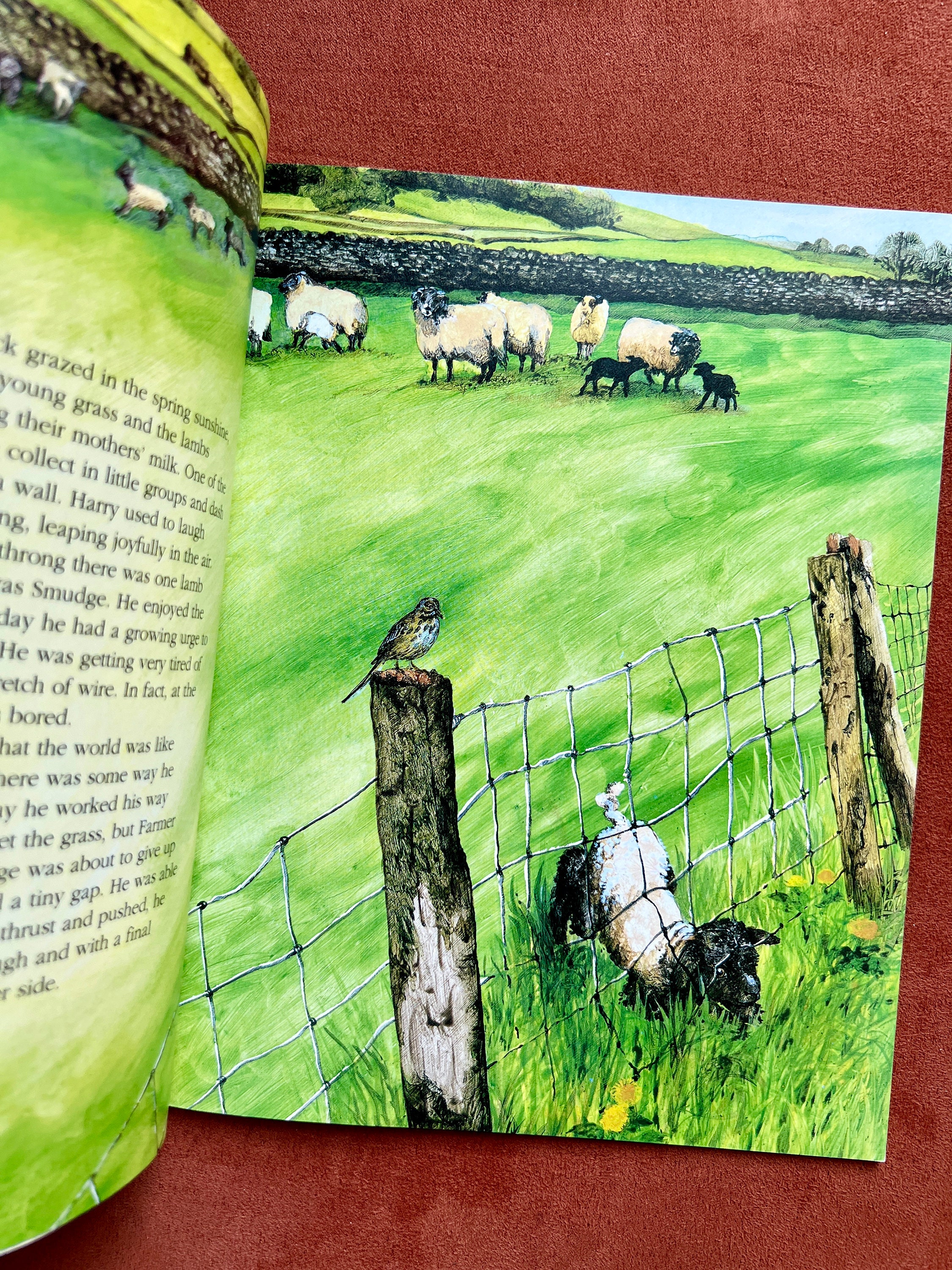 Smudge, the Little Lost Lamb by James Harriot Vintage Children's 1990s ...