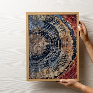 Tree Ring Framed Wall Art, Colorful Tree Ring Wall Decor, Minimalist ...