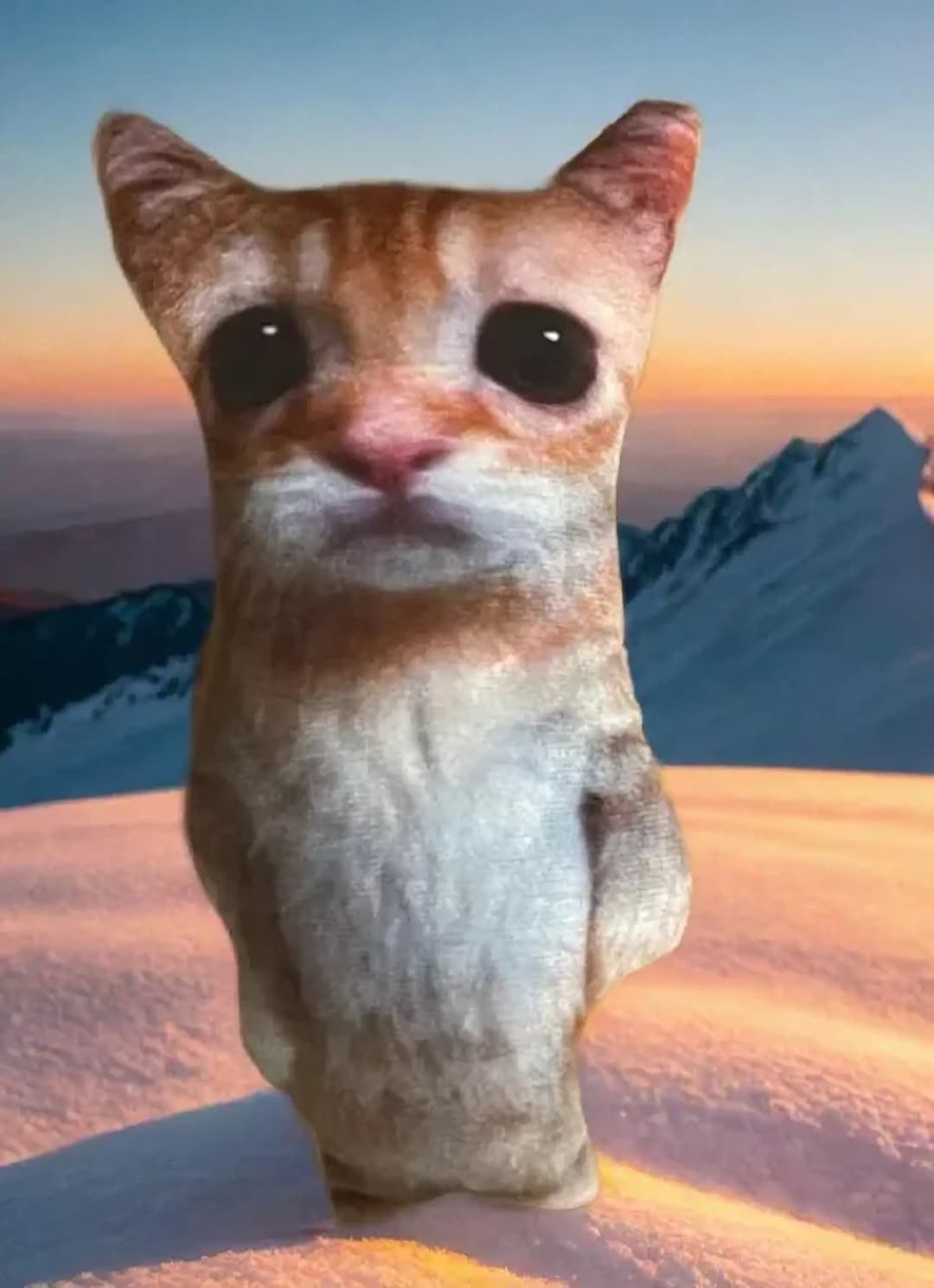 El Gato Meme Cat, Cat Plushie, Cat Meme, Gato, Weighted Stuffed Animal ...