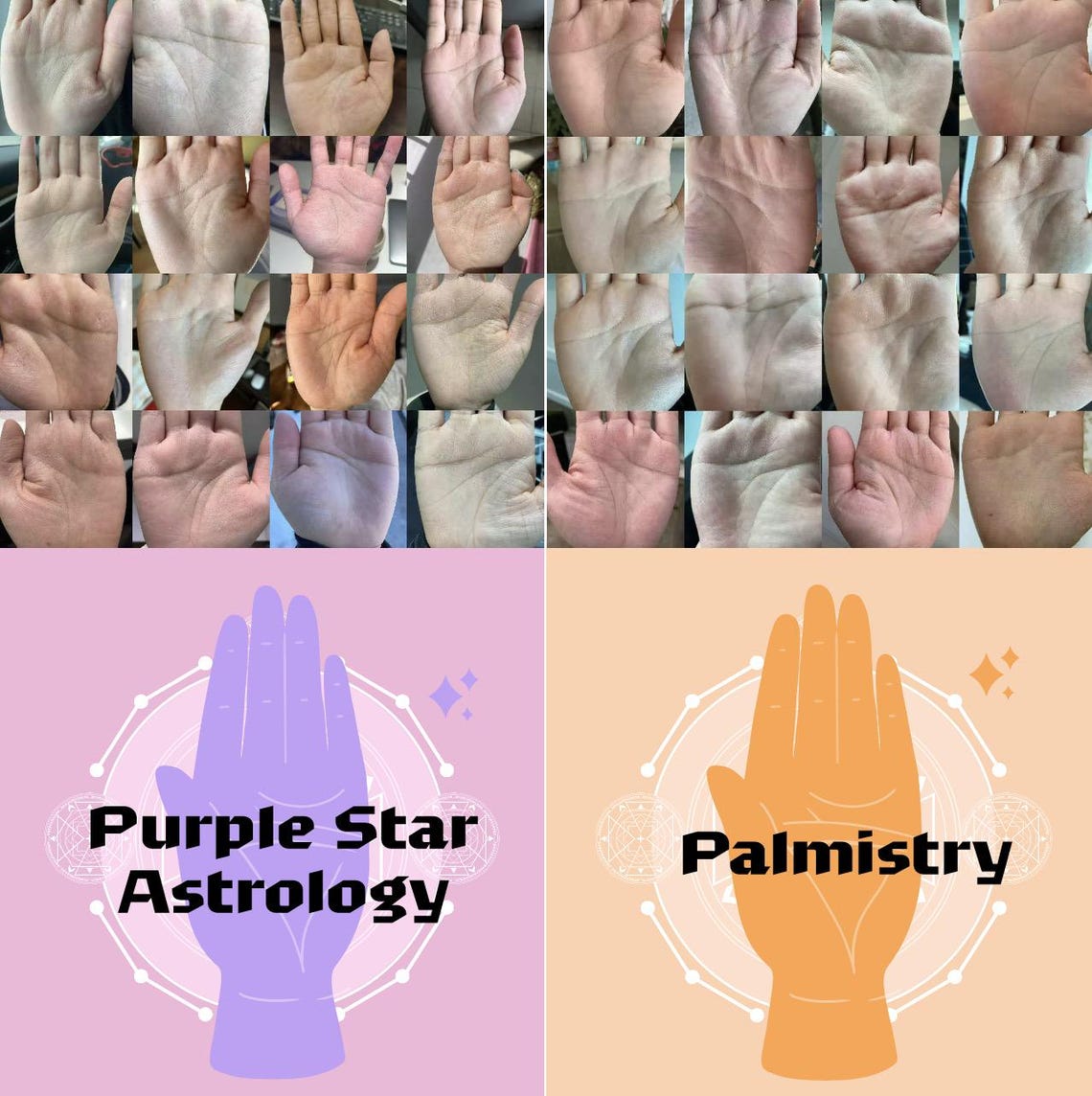 Annual Fortune | Palmistry | Purple Star Astrology | Palm Reading ...