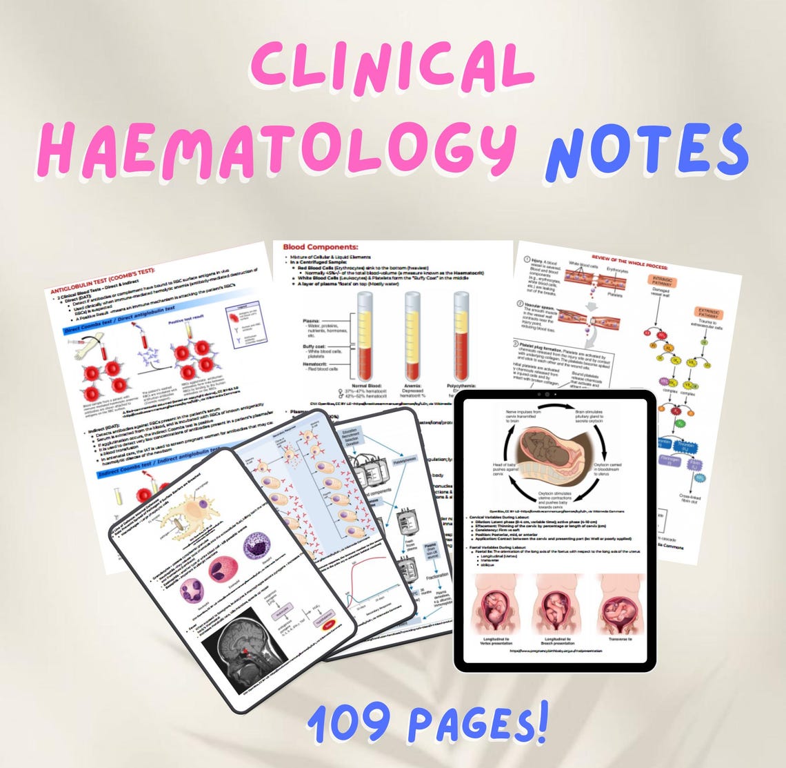 Clinical Hematology Notes | Anatomy, Physiology & Pathology Study Guide ...