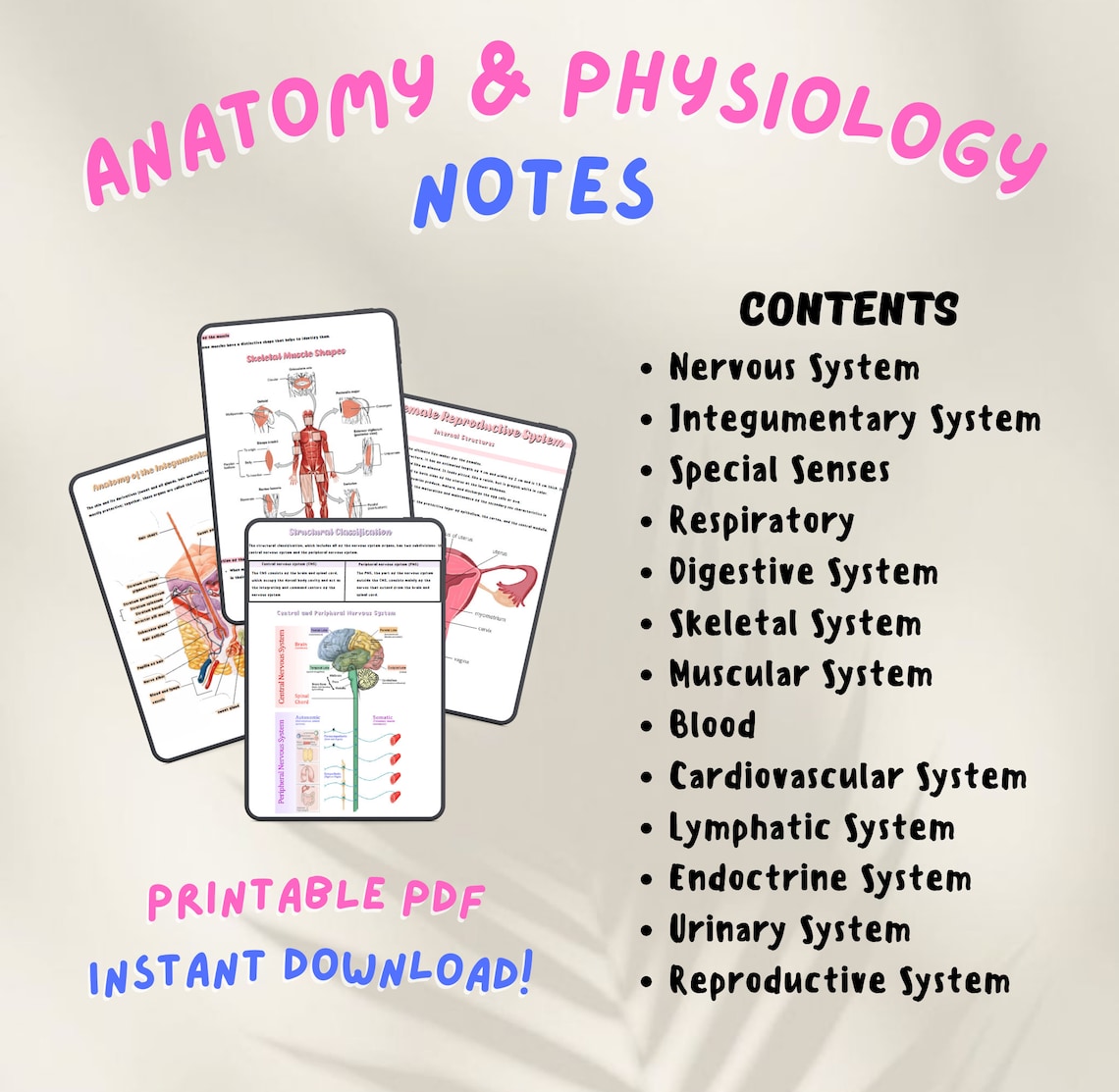 Anatomy and Physiology Notes Anatomy Study Guide Anatomy Notes ...