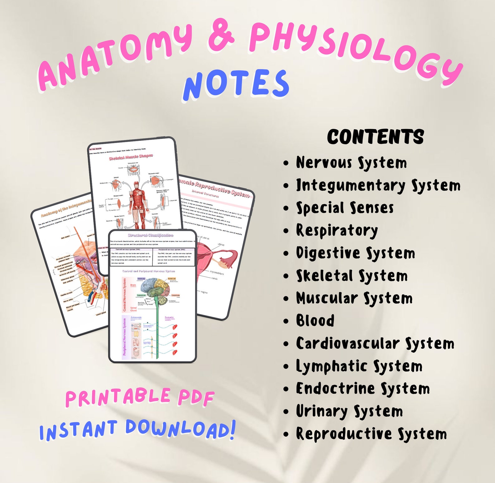 Anatomy & Physiology Notes Bundle: Medical Study Guide (digital ...