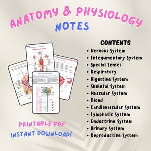 Anatomy and Physiology Notes Anatomy Study Guide Anatomy Notes ...