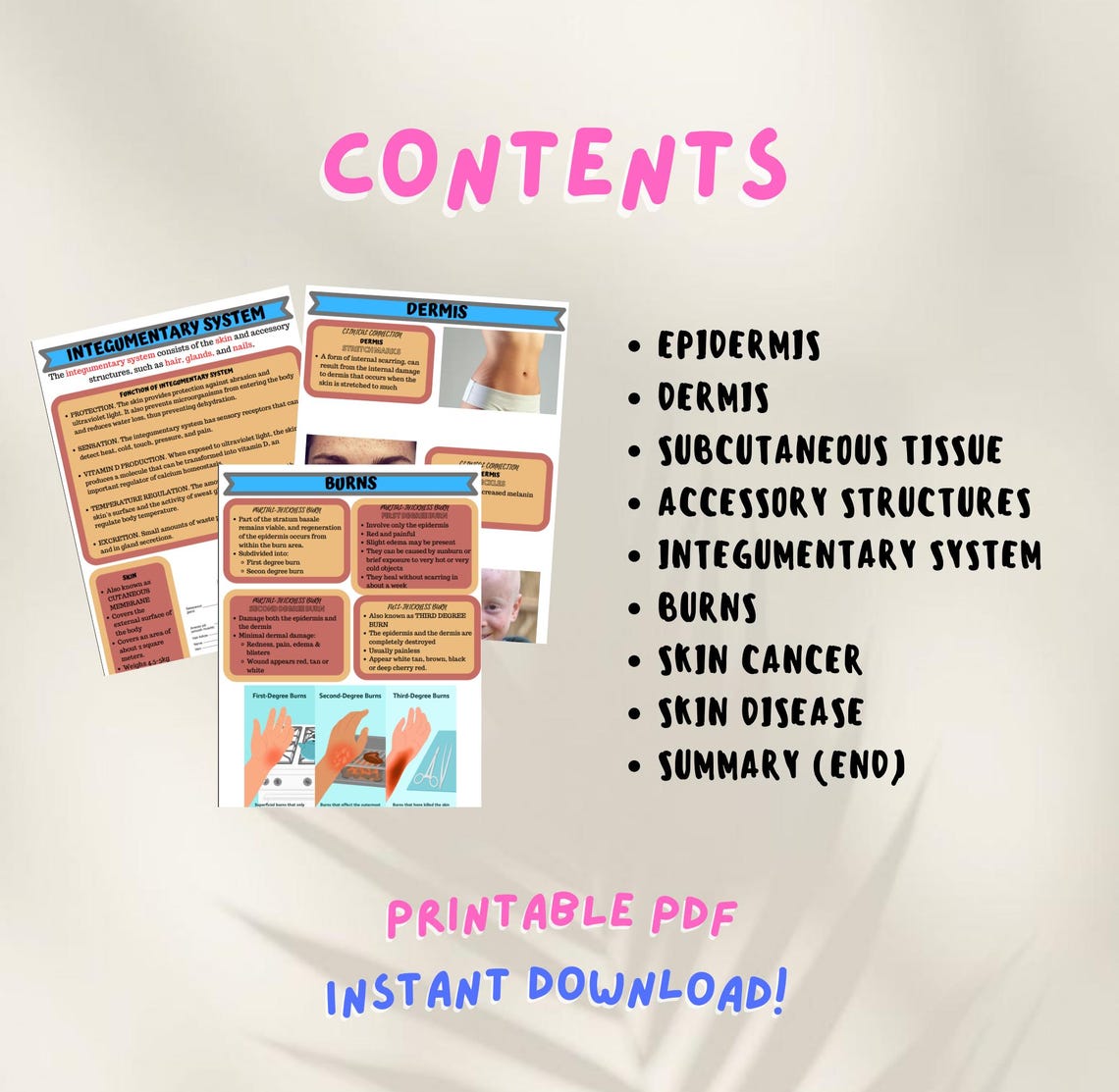 Anatomy & Physiology Integumentary System Nursing School Printable ...