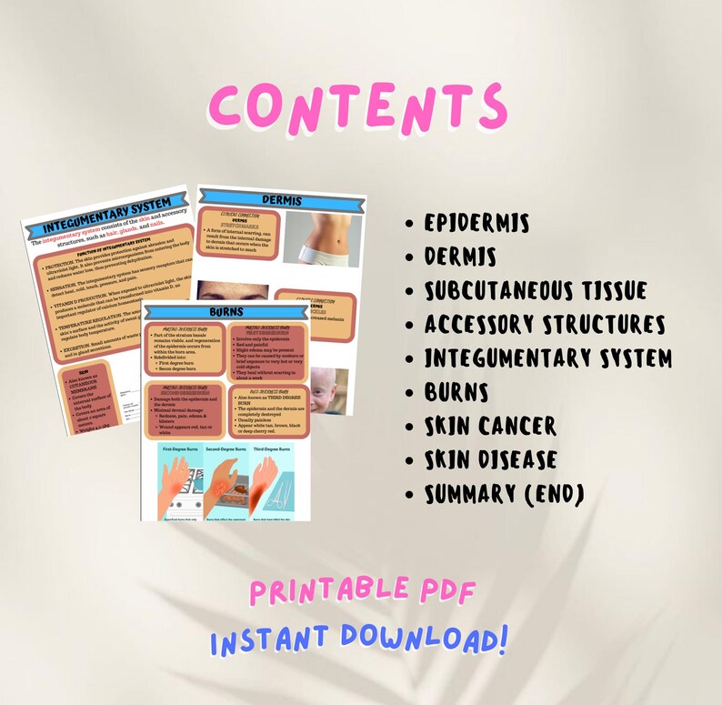 Anatomy & Physiology Integumentary System Nursing School Printable ...