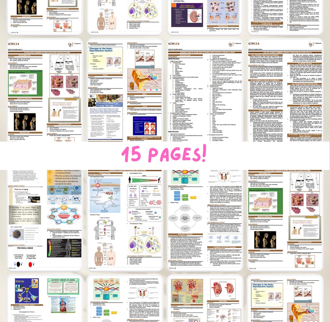 Care of Older Adult Notes | Geriatric Nursing NCLEX Study Guide for ...