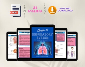 Respiratory System Study Guide - Etsy