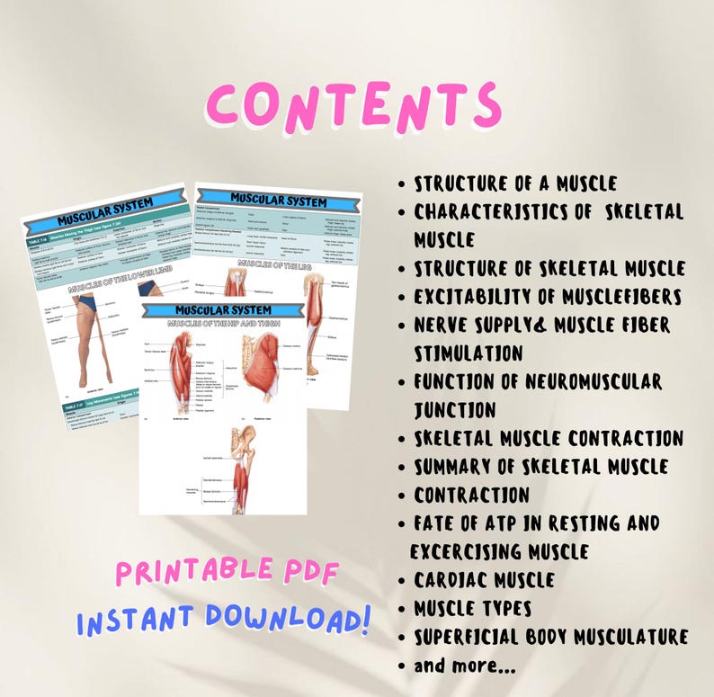 Anatomy & Physiology Muscular System Nursing School Printable Visual ...