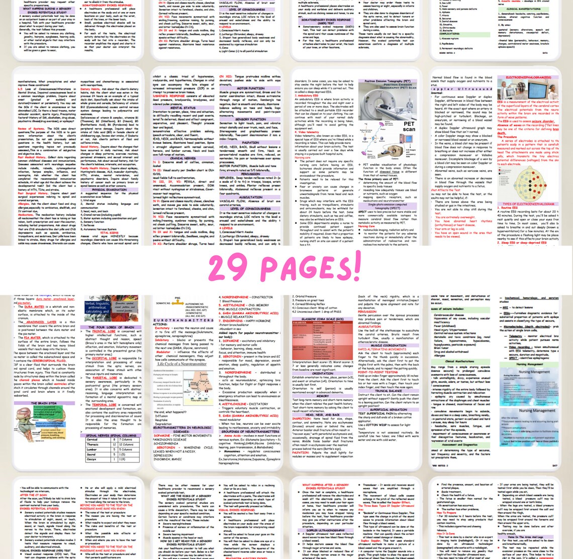 Neurological Nursing Notes Printable Summary of Medical Notes Nursing ...