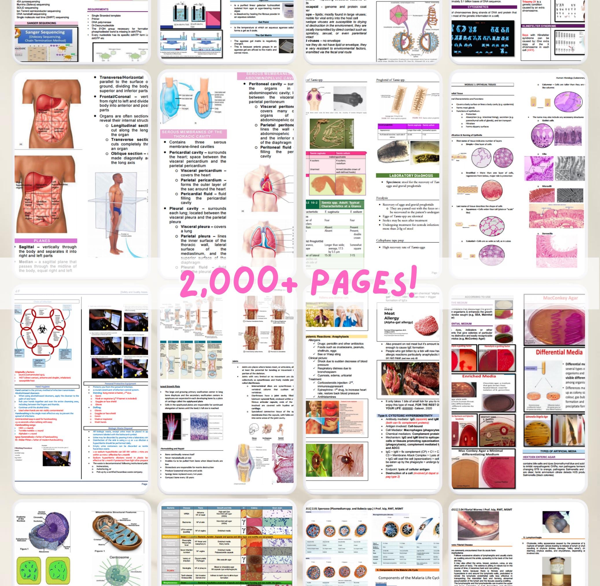 Medtech Study Guide Bundle | Medical Technology Notes for Medtech ...