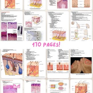 Clinical Dermatology Notes With Examples of Exam Questions ...