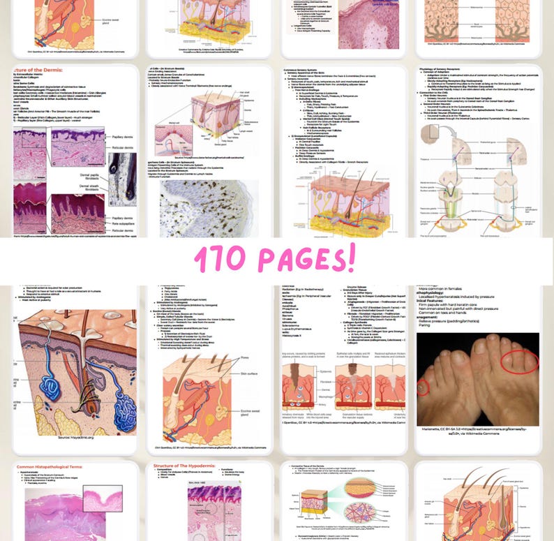 Clinical Dermatology Study Guide: Medical Student Notes (digital ...