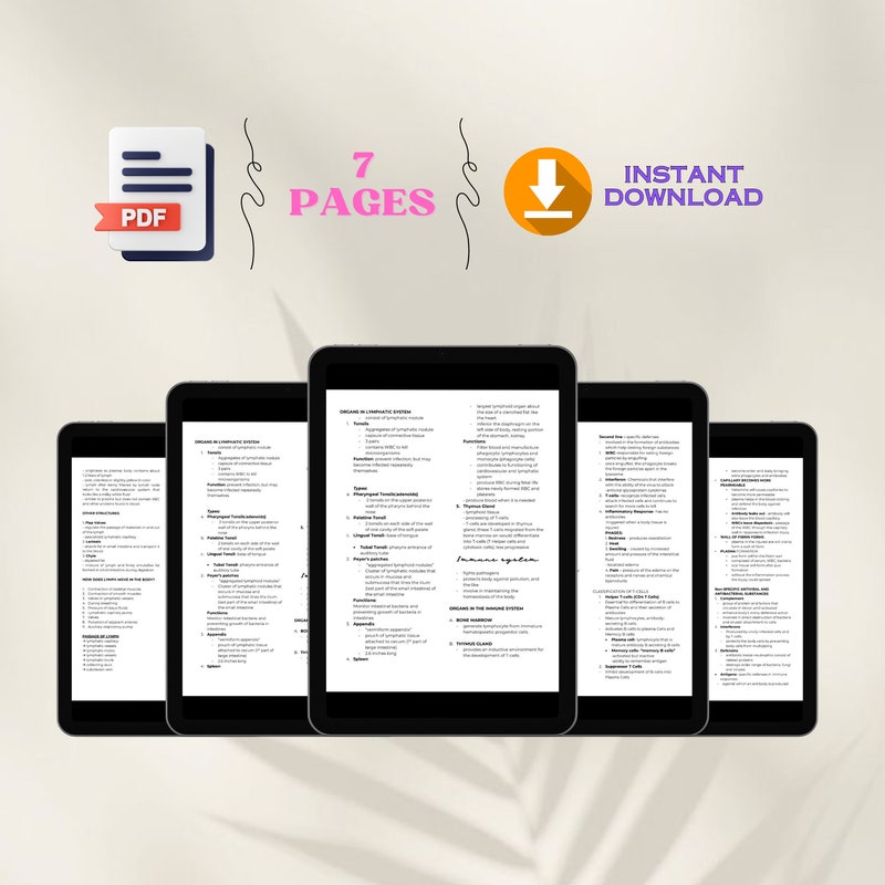 Lymphatic System Anatomy - Etsy