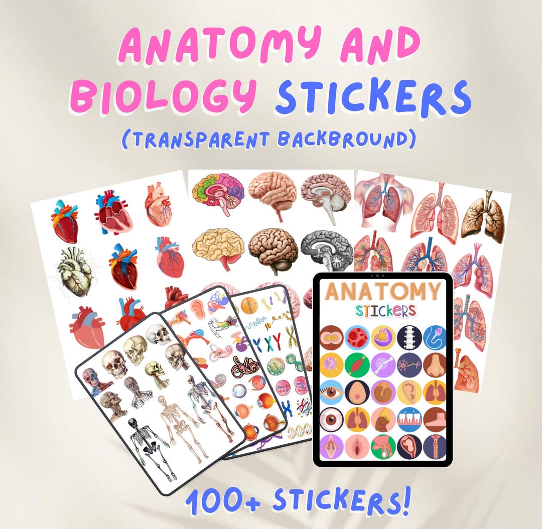 Anatomy & Biology Stickers | Anatomy Stickers | Goodnotes Stickers ...