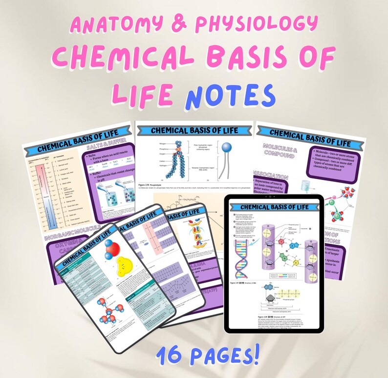 Anatomy & Physiology Chemical Basis of Life Notes Nursing School ...