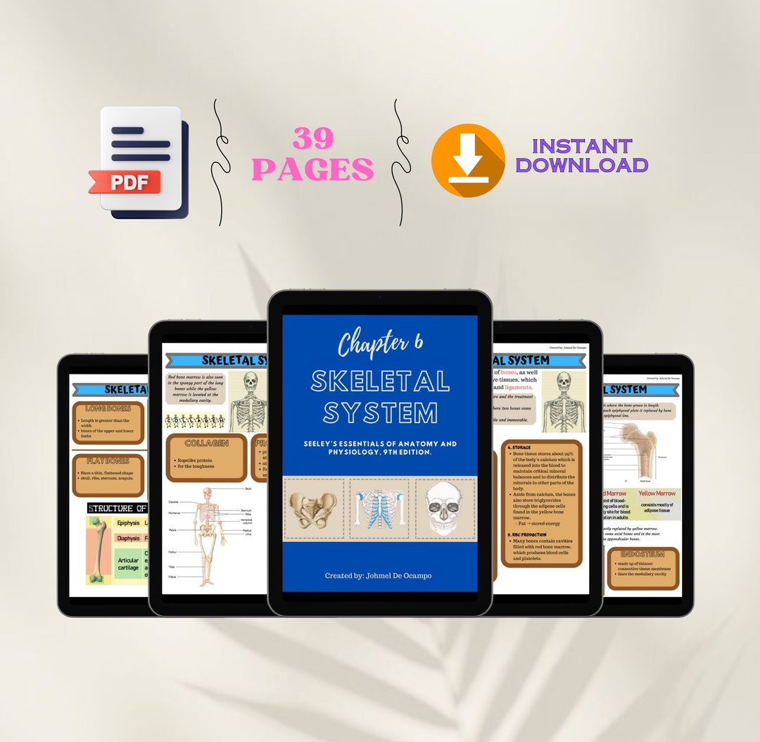 Anatomy & Physiology Skeletal System Nursing School Visual Aid Study ...