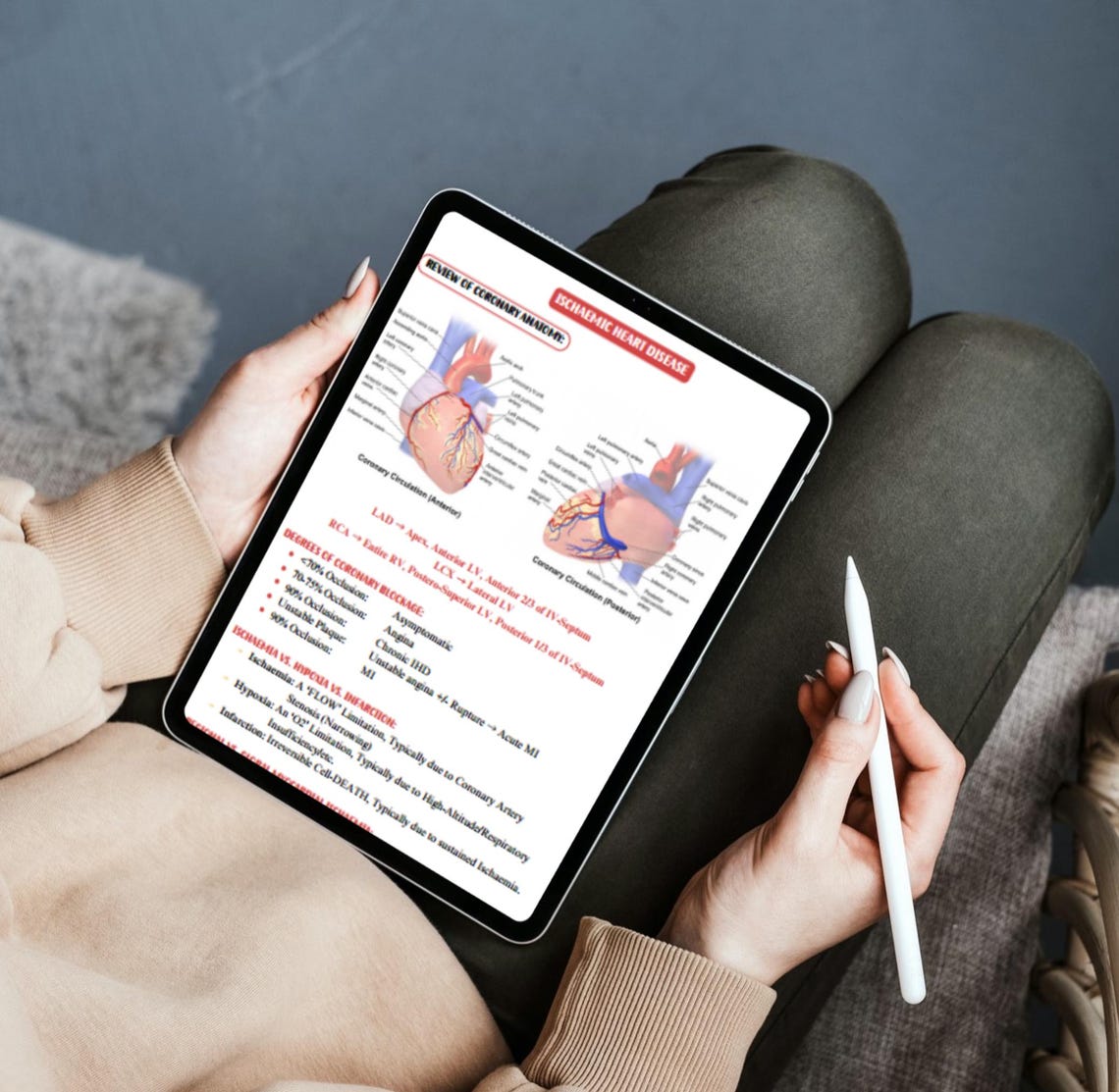 Cardiovascular System Notes | Anatomy, Physiology & Pathology Study ...