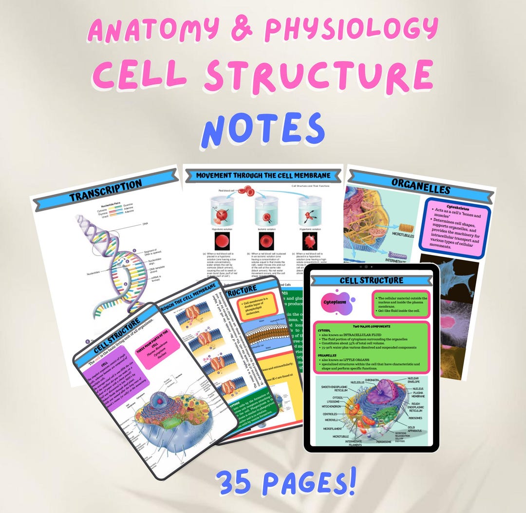Anatomy & Physiology Cell Structure Notes Nursing School Printable ...