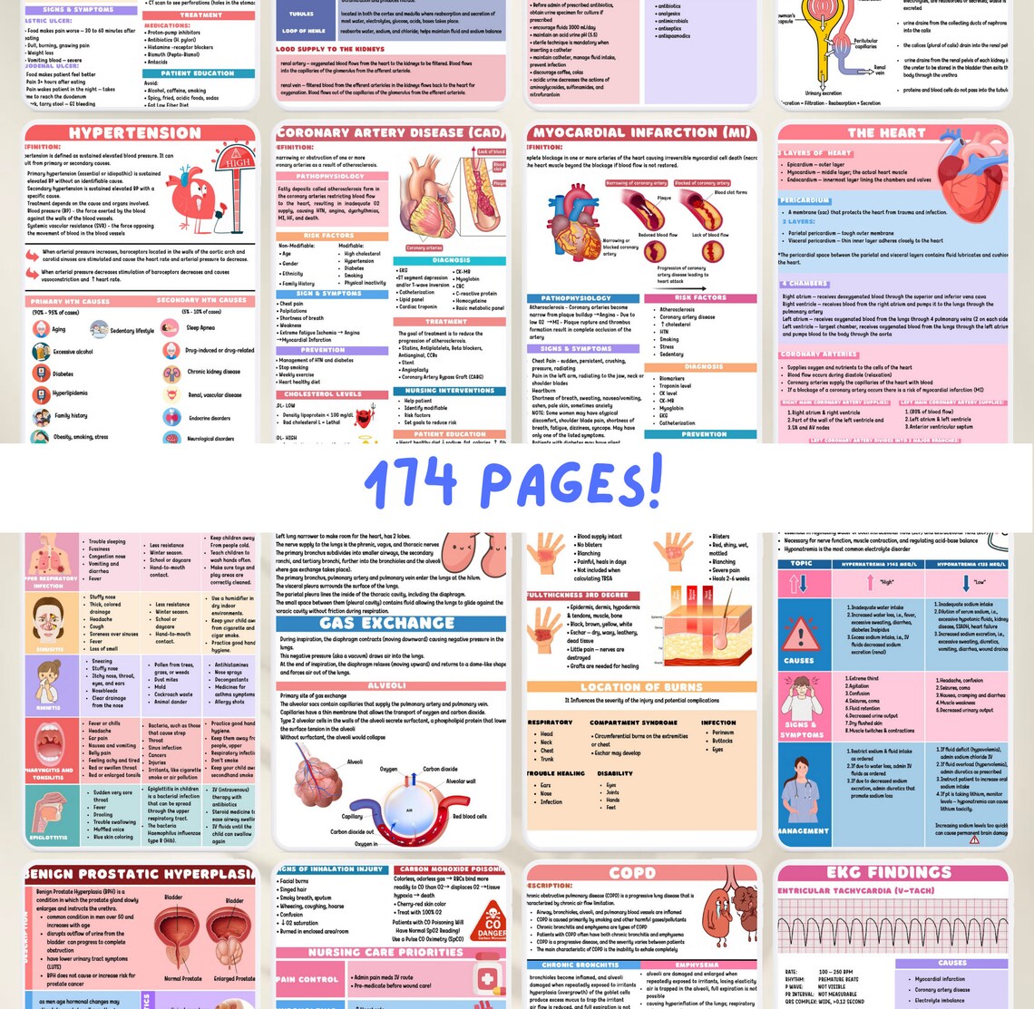 Medical-surgical Nursing Notes Study Guide (digital Download) - Etsy