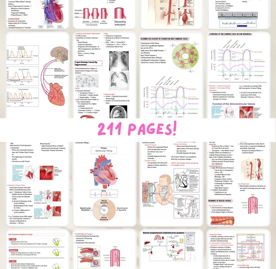 Cardiovascular System Notes of Anatomy, Physiology, Pathophysiology ...