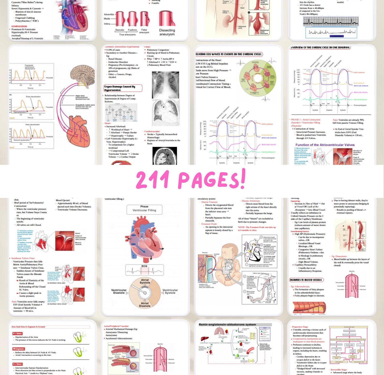 Cardiovascular System Notes of Anatomy, Physiology, Pathophysiology ...