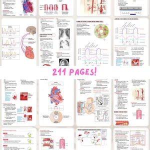 Cardiovascular System Notes of Anatomy, Physiology, Pathophysiology ...