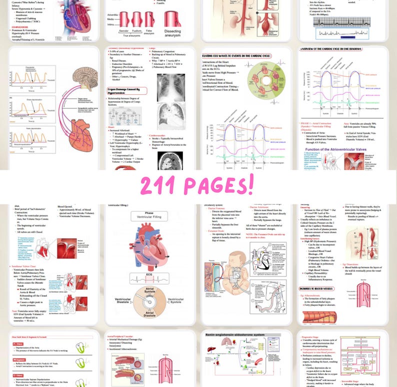 Cardiovascular System Notes: Anatomy, Physiology, Pathology - Medical ...
