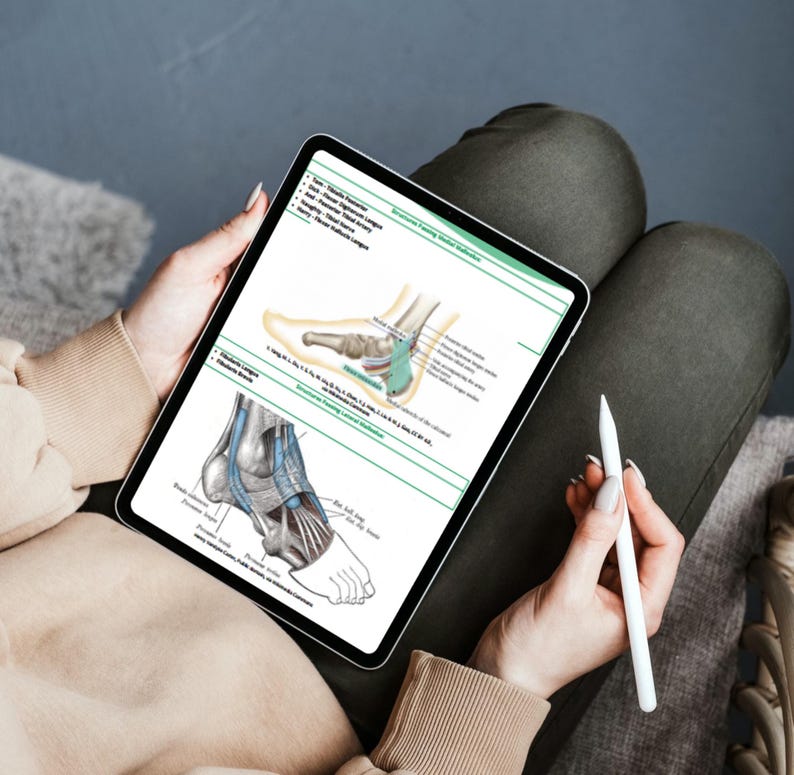 Musculoskeletal System Notes of Anatomy, Physiology, Pathophysiology ...