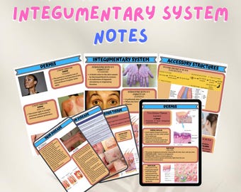 Integumentary Study Guide - Etsy