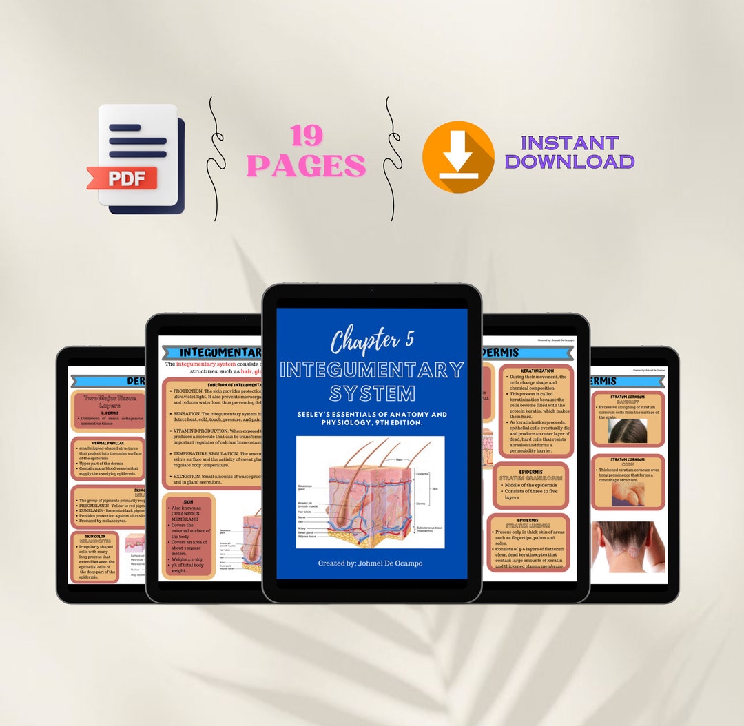 Anatomy & Physiology Integumentary System Nursing School Printable ...