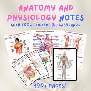 Anatomy & Physiology Notes Bundle: Medical Study Guide (digital ...
