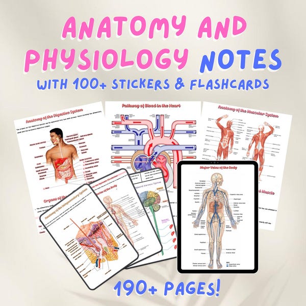 Pediatrics Notes Bundle Pediatric Nurse Nursing Study Sheet Nursing ...