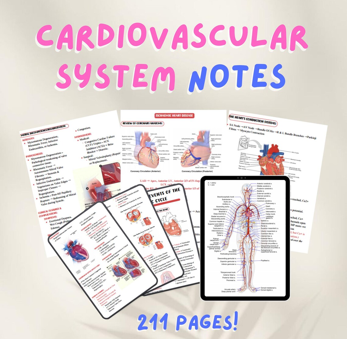 Cardiovascular System Notes of Anatomy, Physiology, Pathophysiology ...