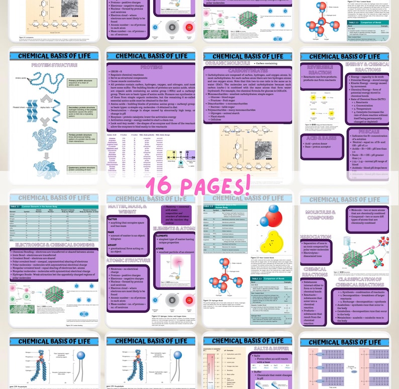 Anatomy & Physiology Chemical Basis of Life Notes Nursing School ...